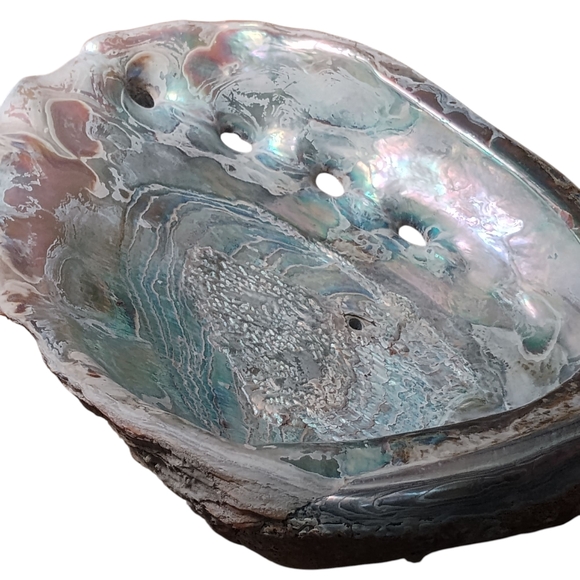 Vintage | Art | Extralarge Natural Abalone Shell 95 Iridescent Nacre ...
